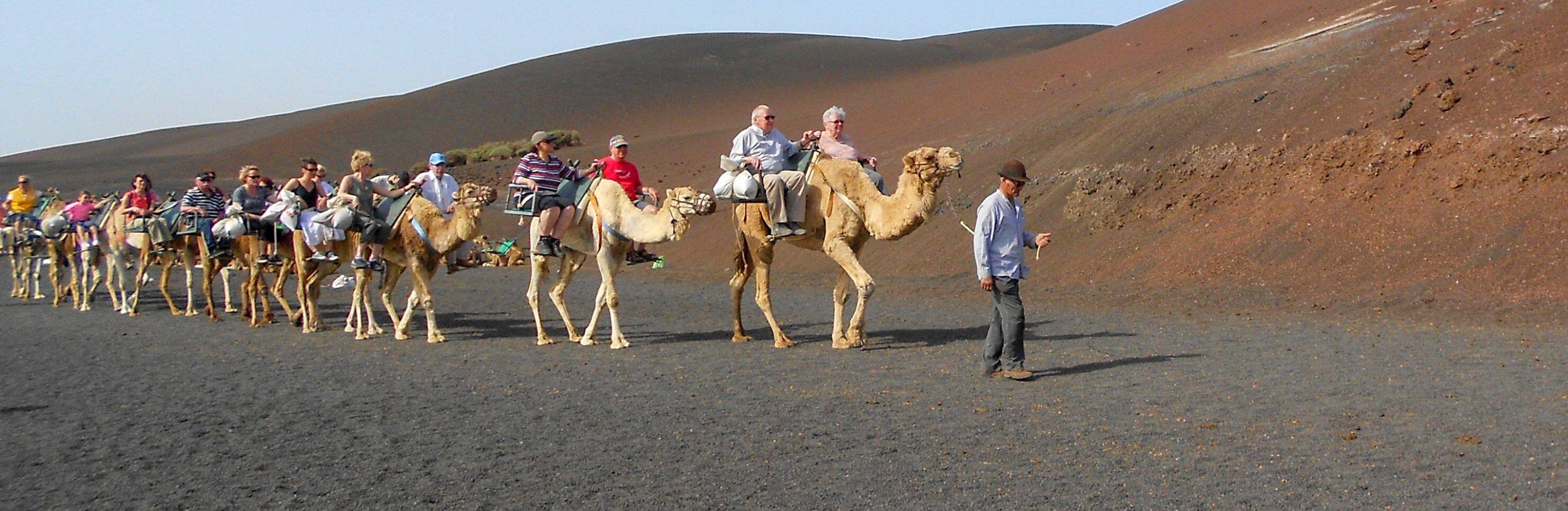 Island of Fire Mountains & Camel Ride
