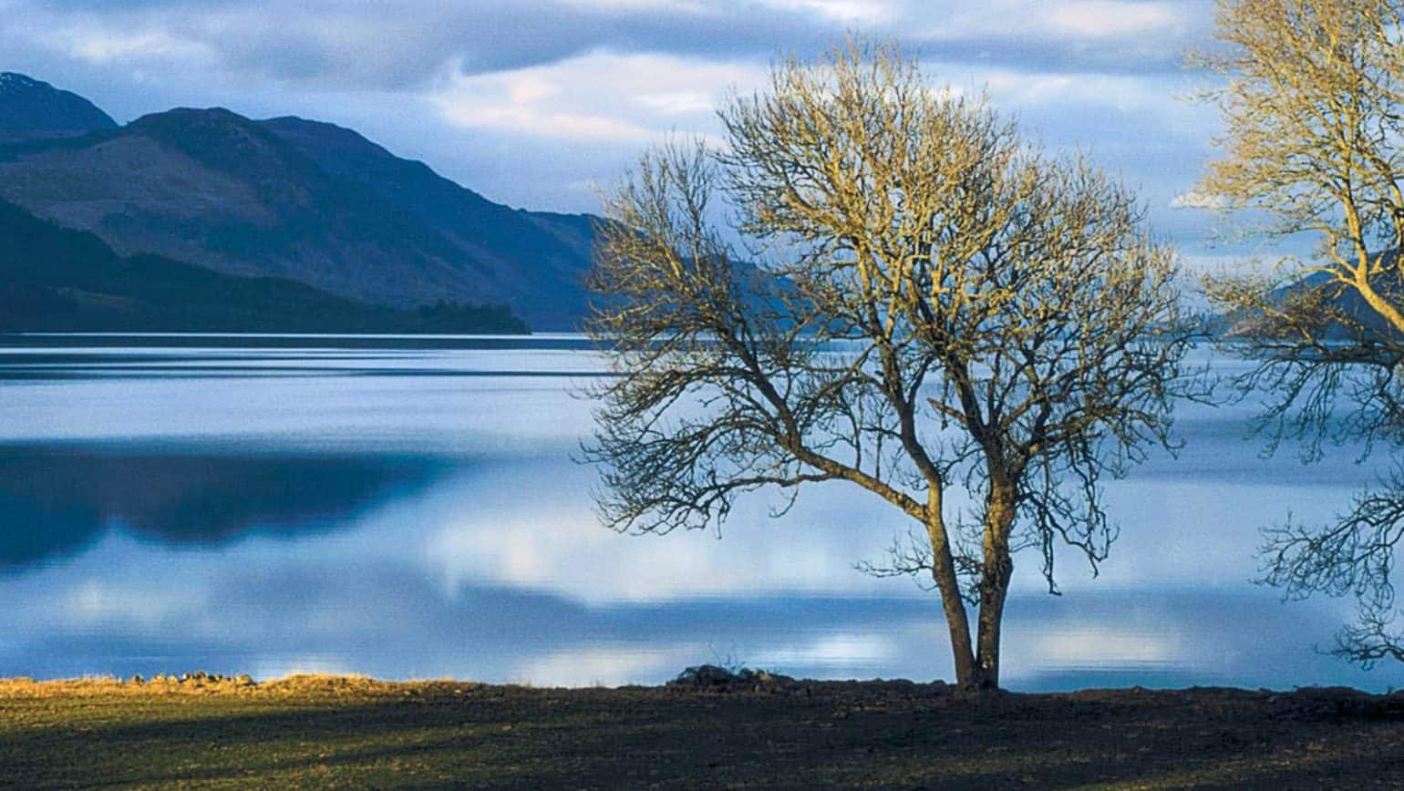 Invergordon (Inverness), Scotland, United Kingdom