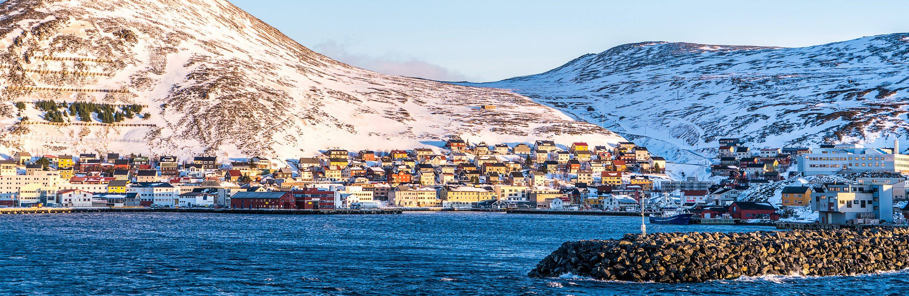 Stappen Island Bird Safari