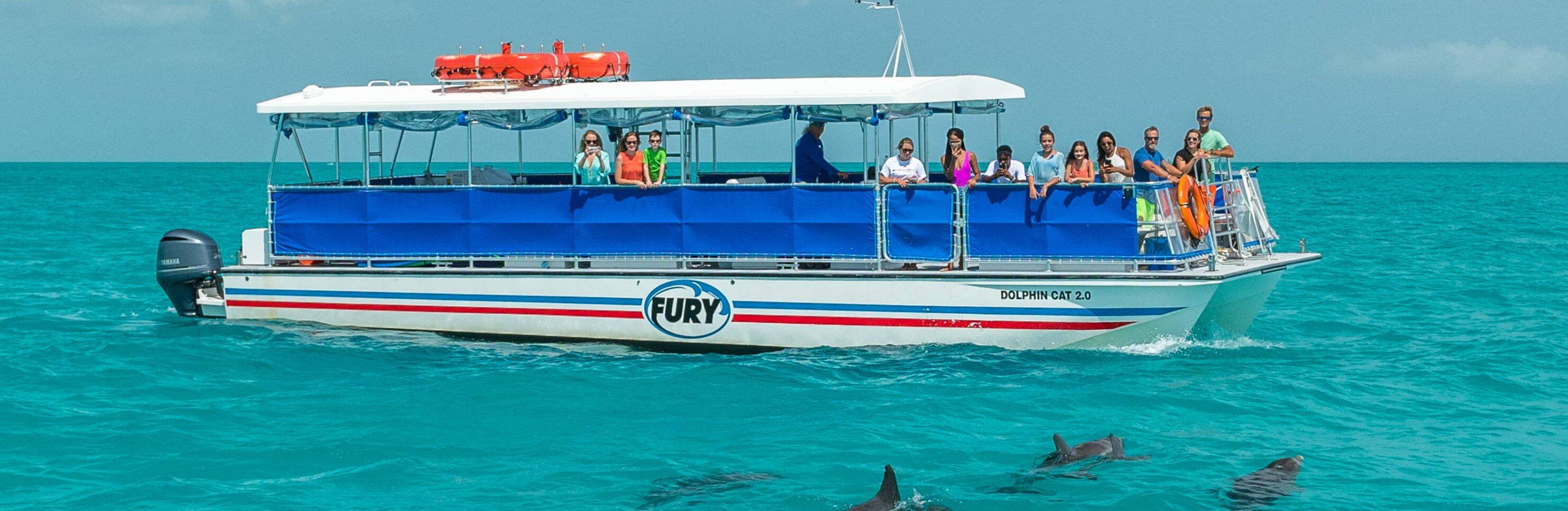 Dolphin Watch & Snorkel