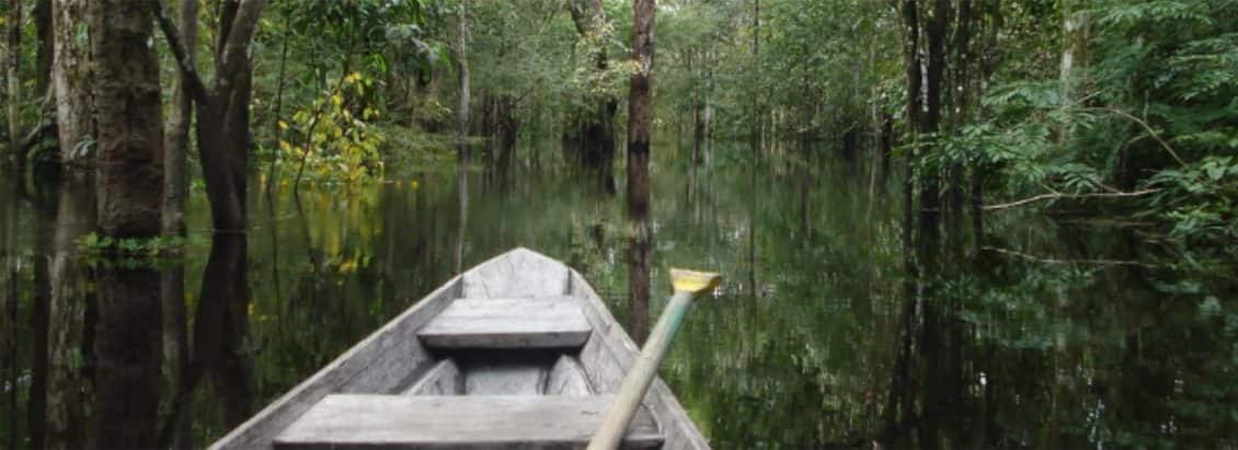 Cruises To Manaus, Brazil | Amazon City, Opera House & Jungle Adventures