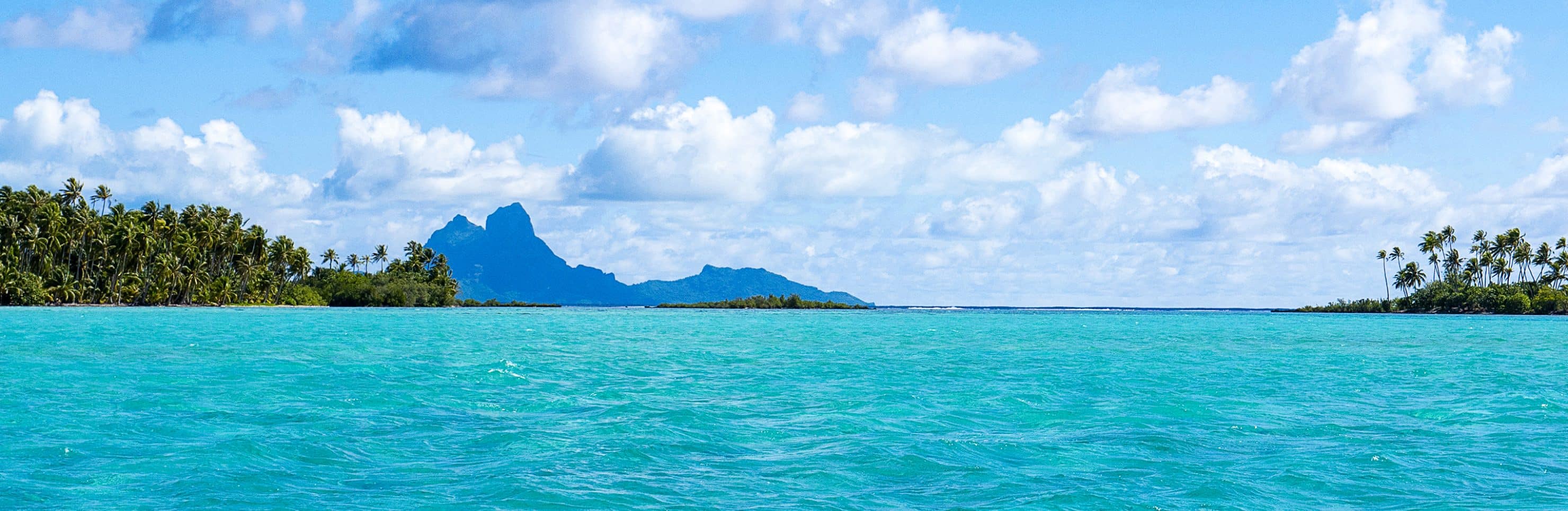 A Taste of Vanilla & Tahaa Motu Picnic