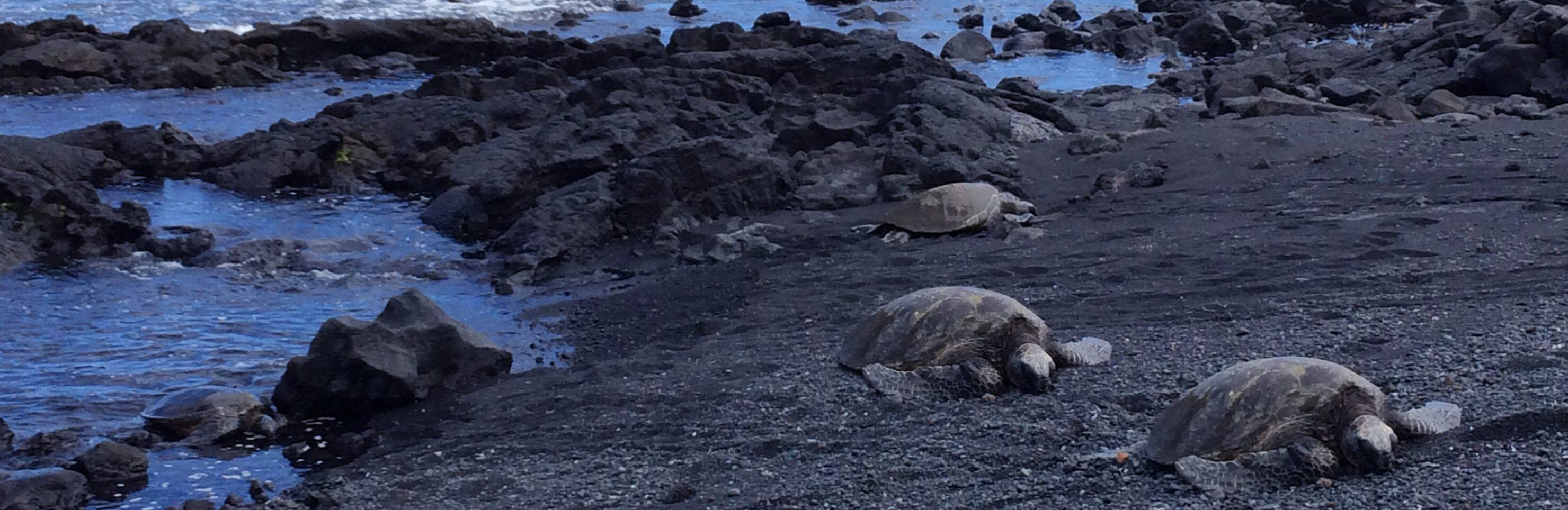 Hawaii Volcanoes National Park Kahuku Unit