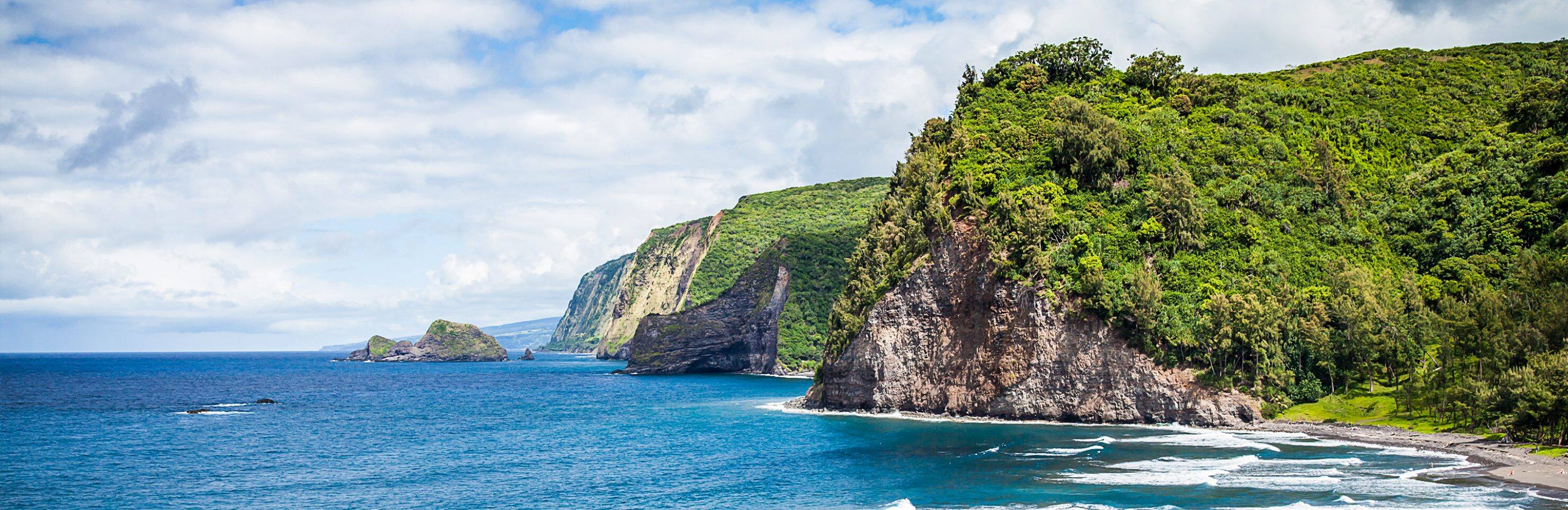 Jungle Falls Bike Adventure