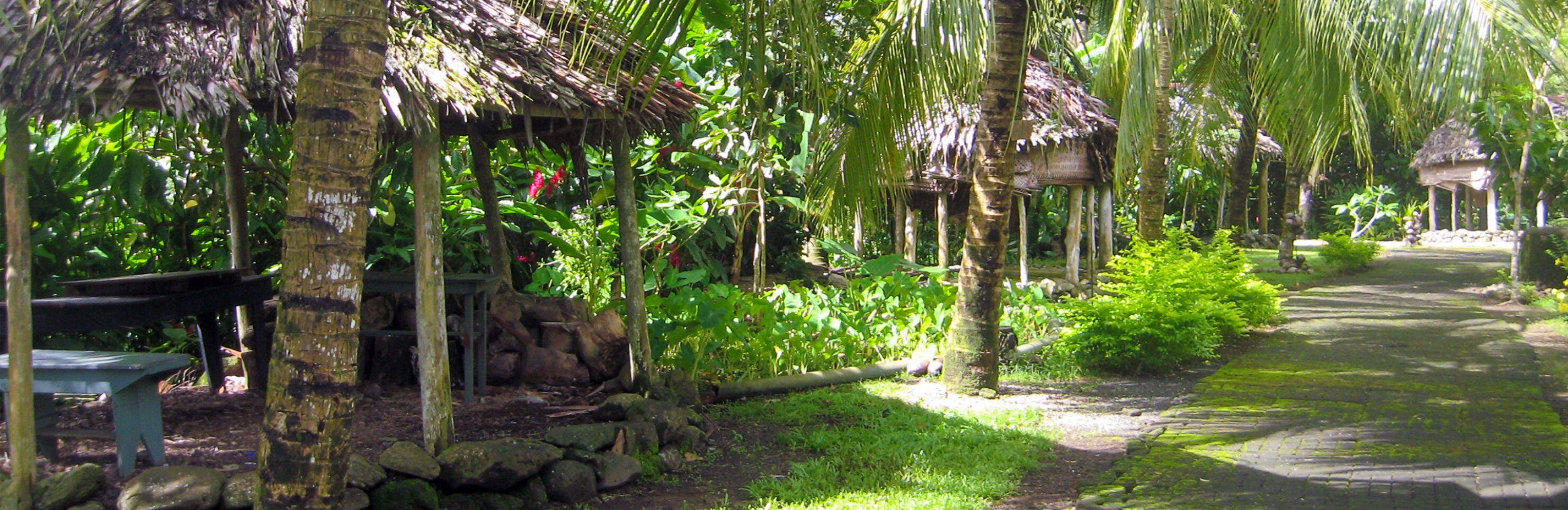 A Taste of Samoan Village Life