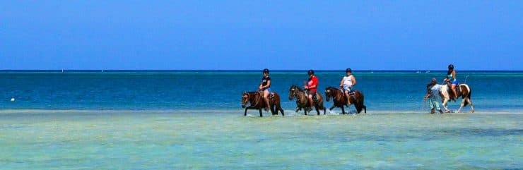 Beach Horseback Ride & Swim
