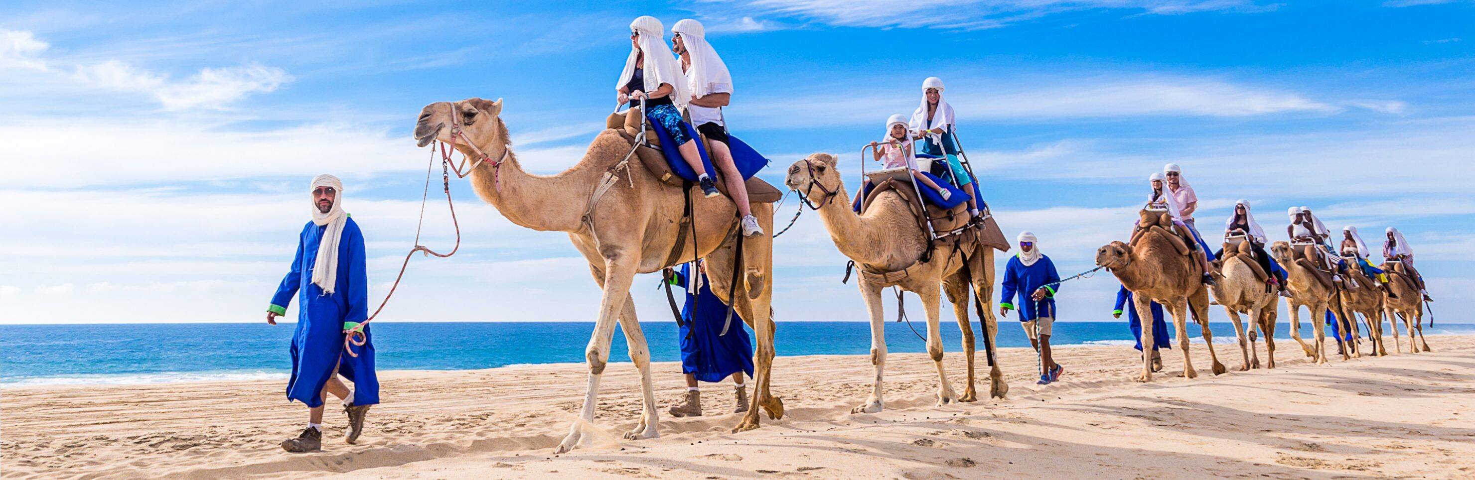 Outback Adventure & Camel Ride