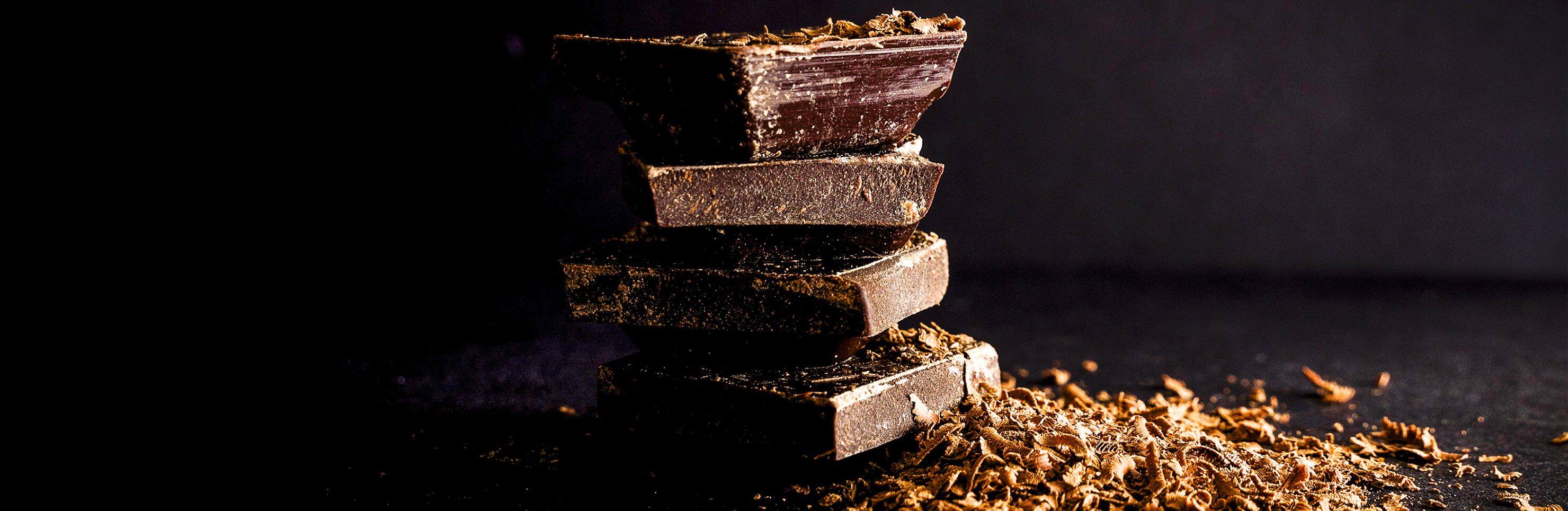 Mayan Tree of Life & Chocolate Discovery