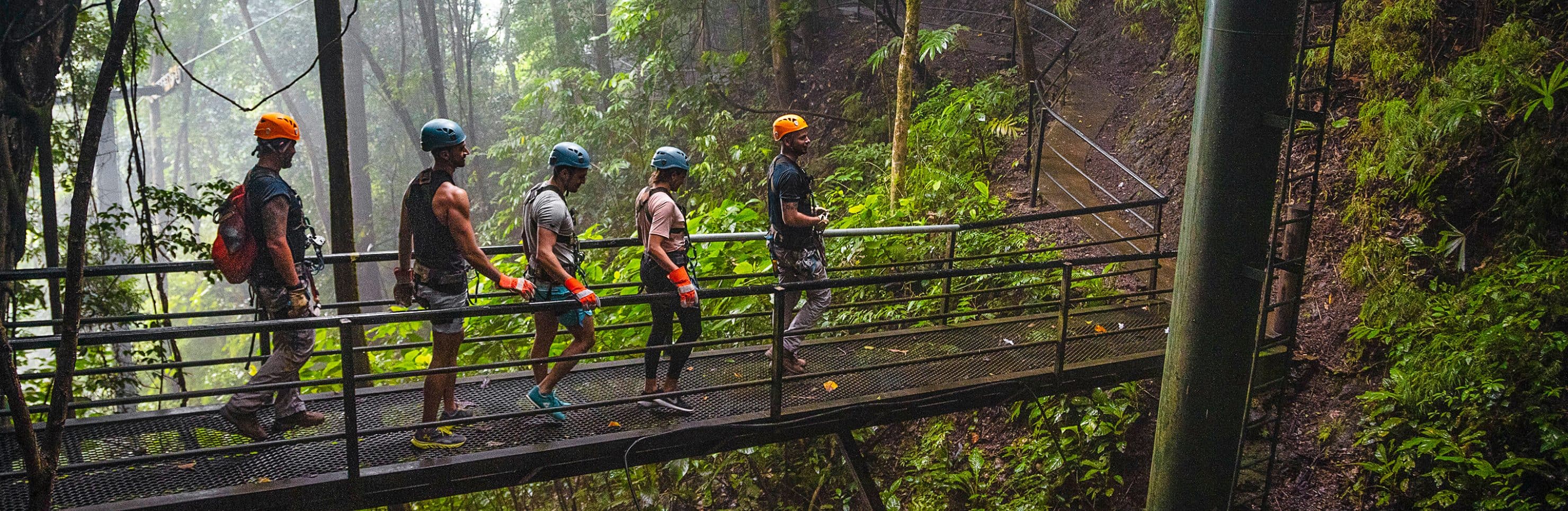 Rain Forest Canopy Zip-Line & Aerial Tram Combination