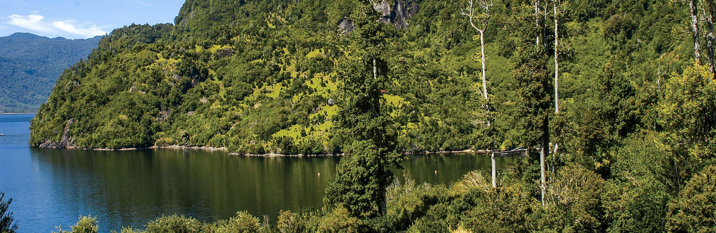 The Natural Beauty of Patagonia