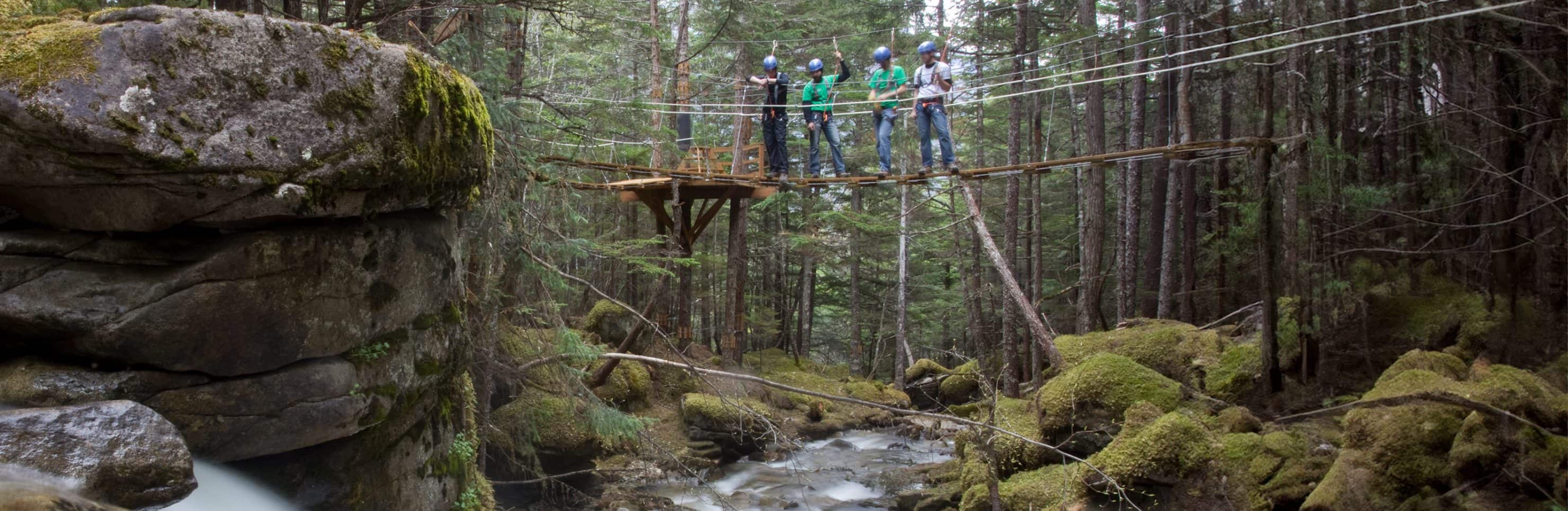Grizzly Falls Zip-Line Expedition