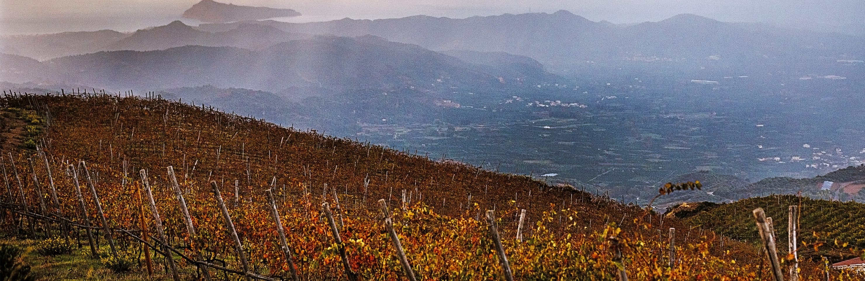 Countryside Drive & Wine Tasting: In Partnership with Food & Wine Magazine