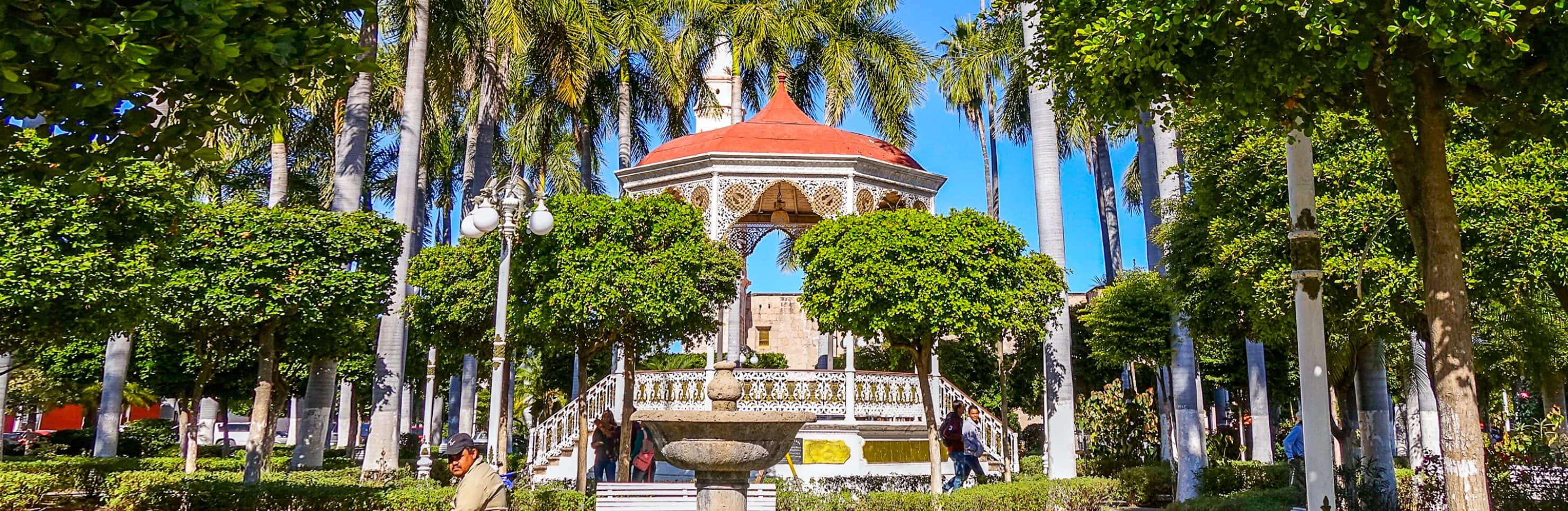 The Best of Topolobampo