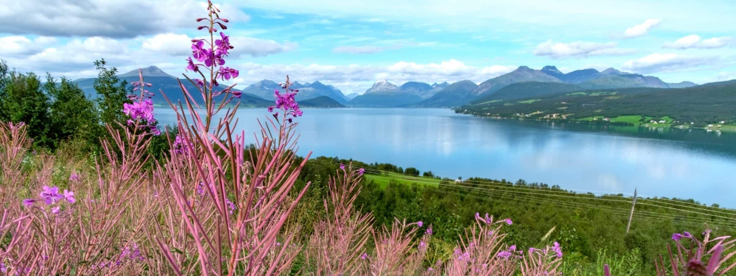 Cruises naar Noorwegen in 2025 en 2026 - Bekroonde cruises naar Noorwegen