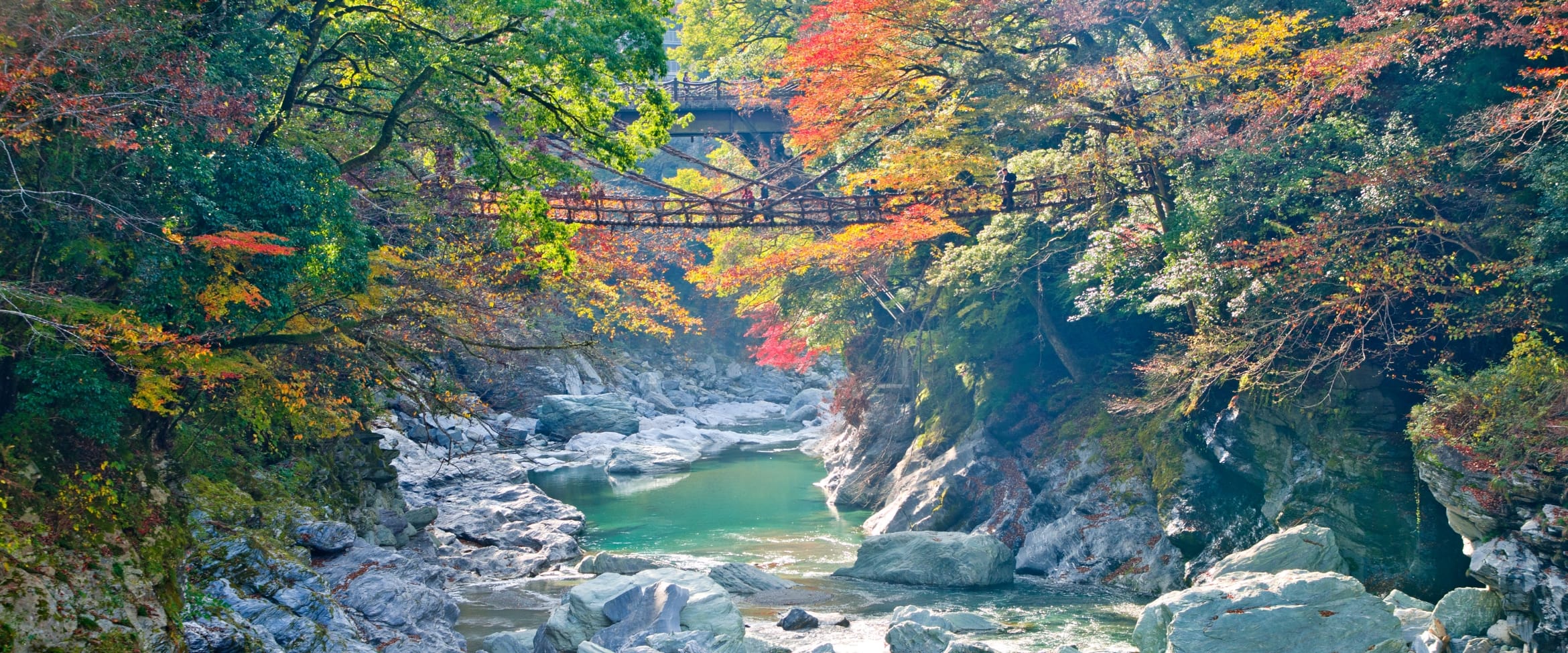 Cruises to Cruises to Tokushima, Japan | Holland America Line | Holland ...