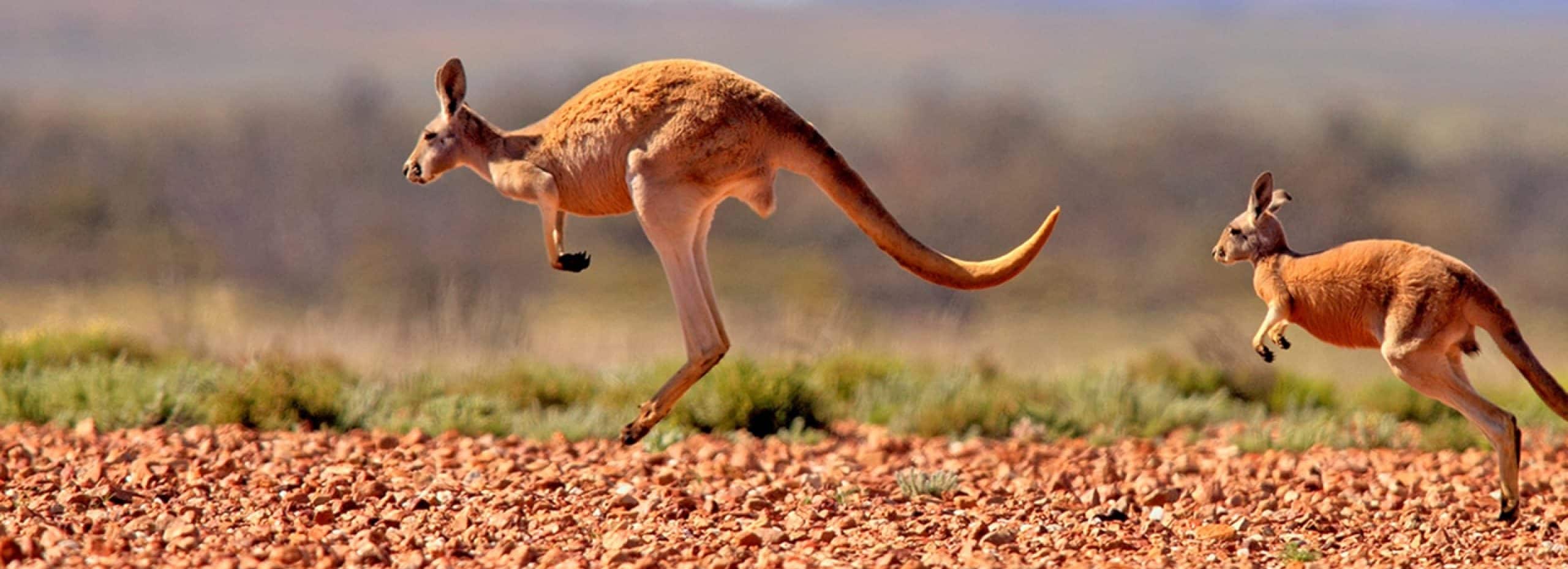 Cruise Destinations - Search Award Winning Cruise Itineraries