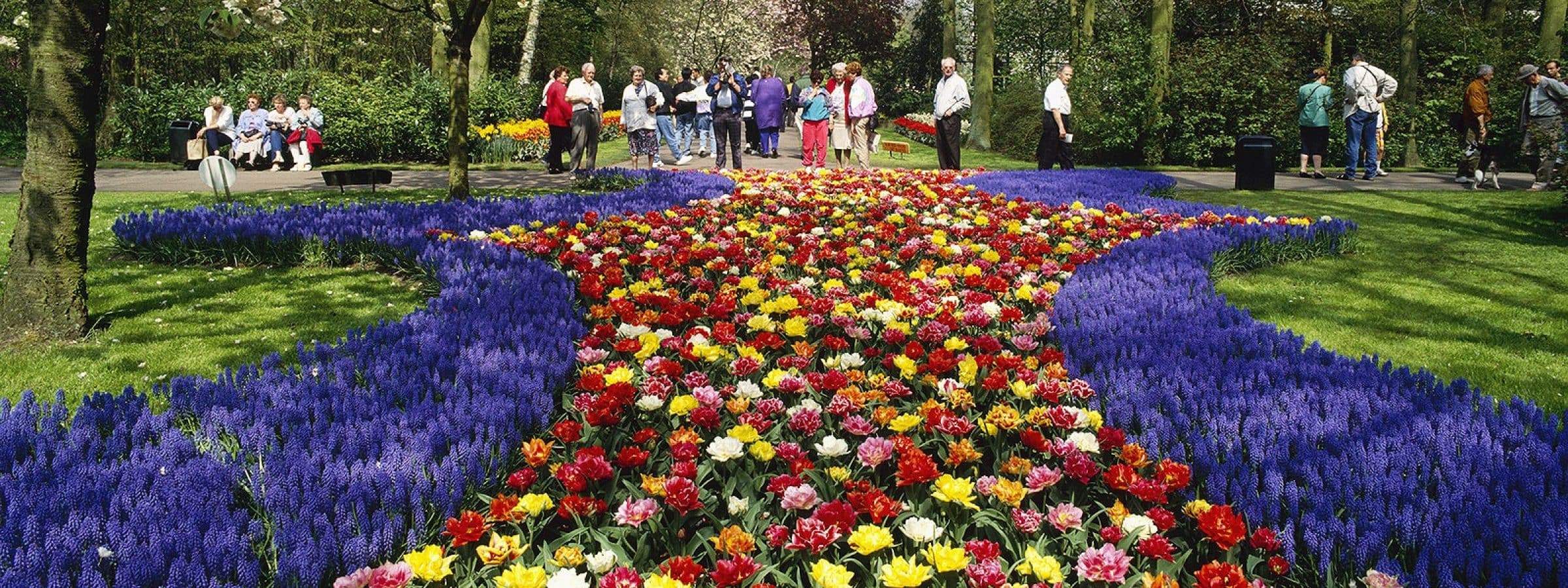 Cruises from Rotterdam | Netherland Cruises | Holland America Line