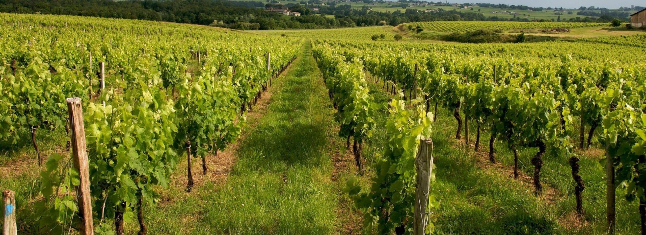 Le Verdon (Bordeaux), France