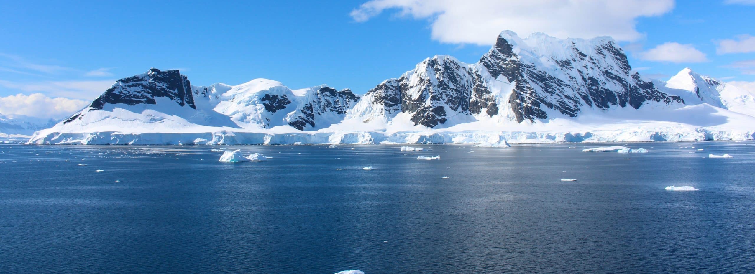 Antarctic Experience