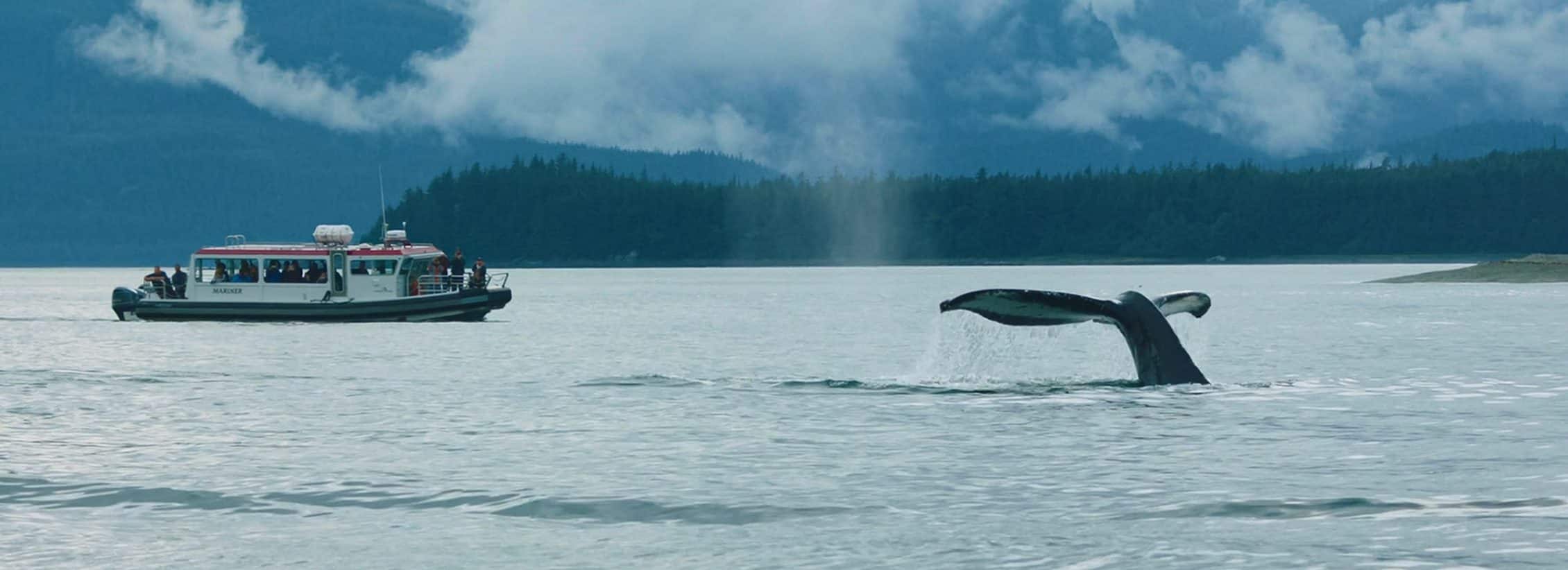 Best Alaska Shore Excursions