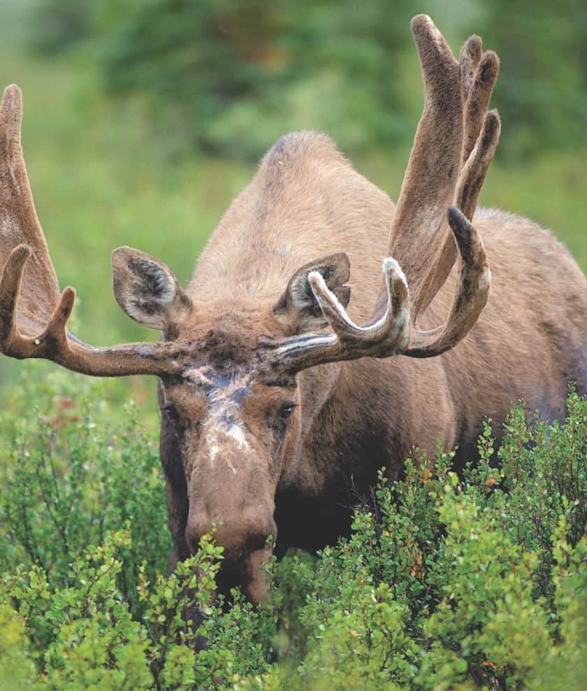 Find Best Cruise Deals and Packages | Holland America