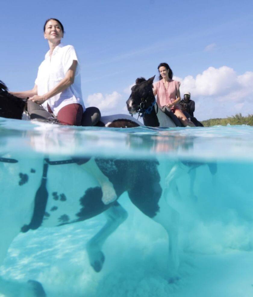 Cruises Search Award-Winning Cruises - Find Deals & Packages