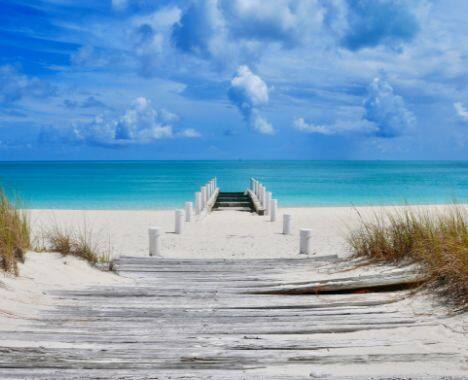 Tin Casting & Sake Brewery Cruise Tour