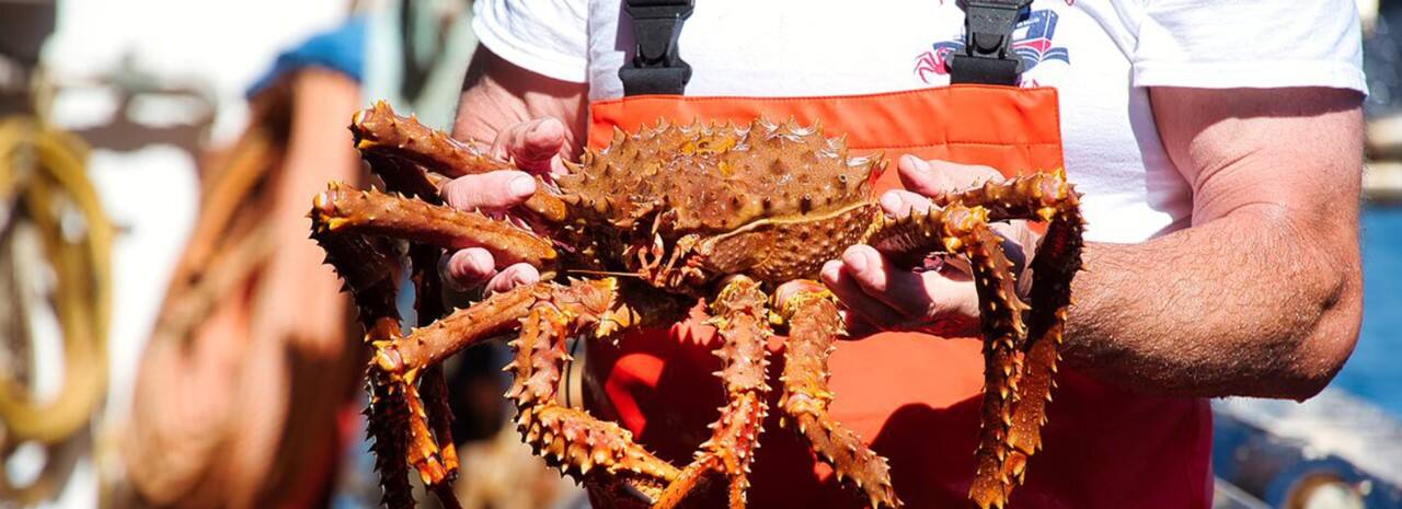 Crab Expedition Wildlife Cruise & King Crab Snack Cruise Tour
