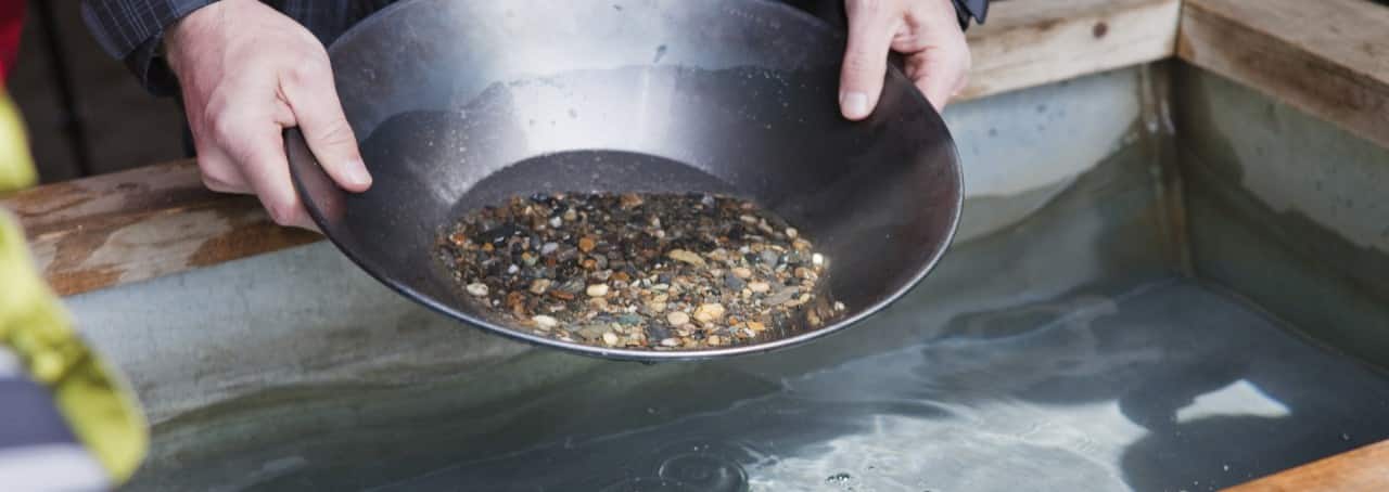 Gold Fever Experience: Gold Panning & Alaska Sled Dogs Cruise Tour