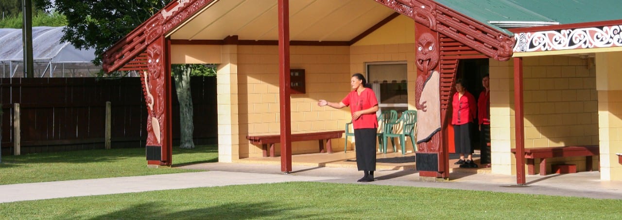 Maori Marae Visit Cruise Tour