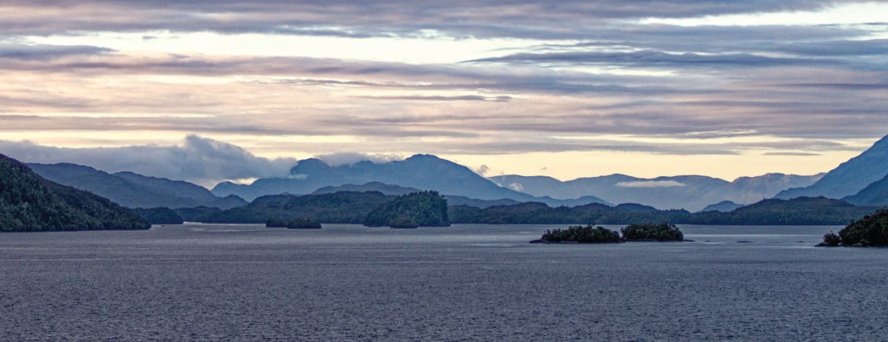 Cruises To Scenic Cruising Darwin Channel: Glaciers, Fjords, and ...