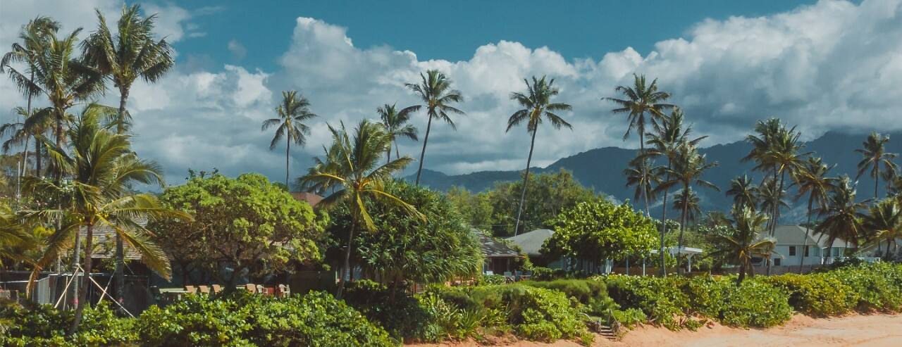 Hawaii & Tahiti Cruise Ports | Holland America Line