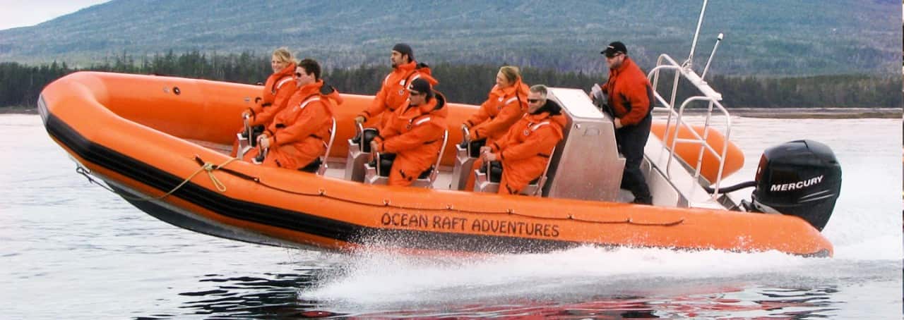 Volcano Coast Exploration by Ocean Raft Cruise Tour