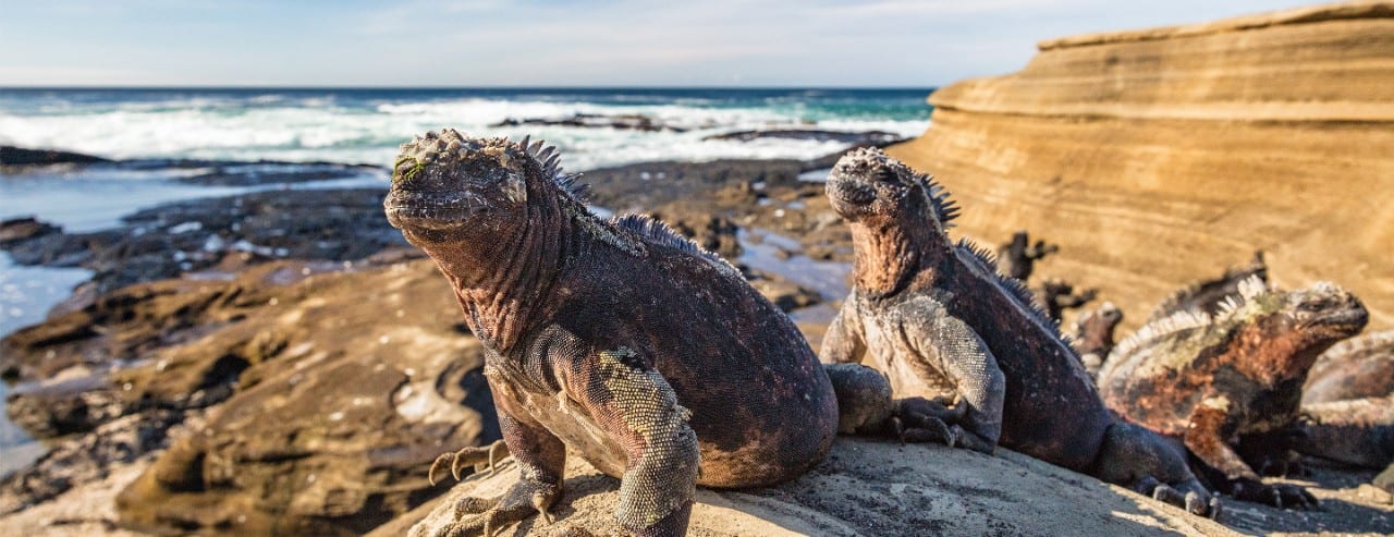Sunrise at Lizard Island