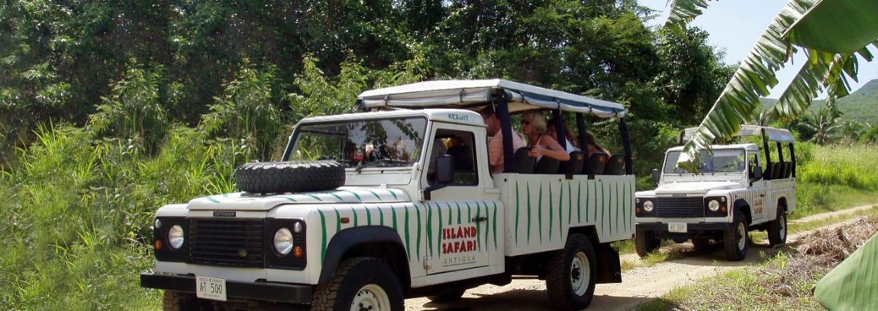Island Safari Scenic Drive & Beach Cruise Tour