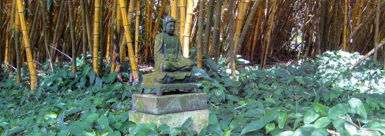Jewels of Hawaii: Allerton & McBryde Tropical Gardens & Waterfall ...