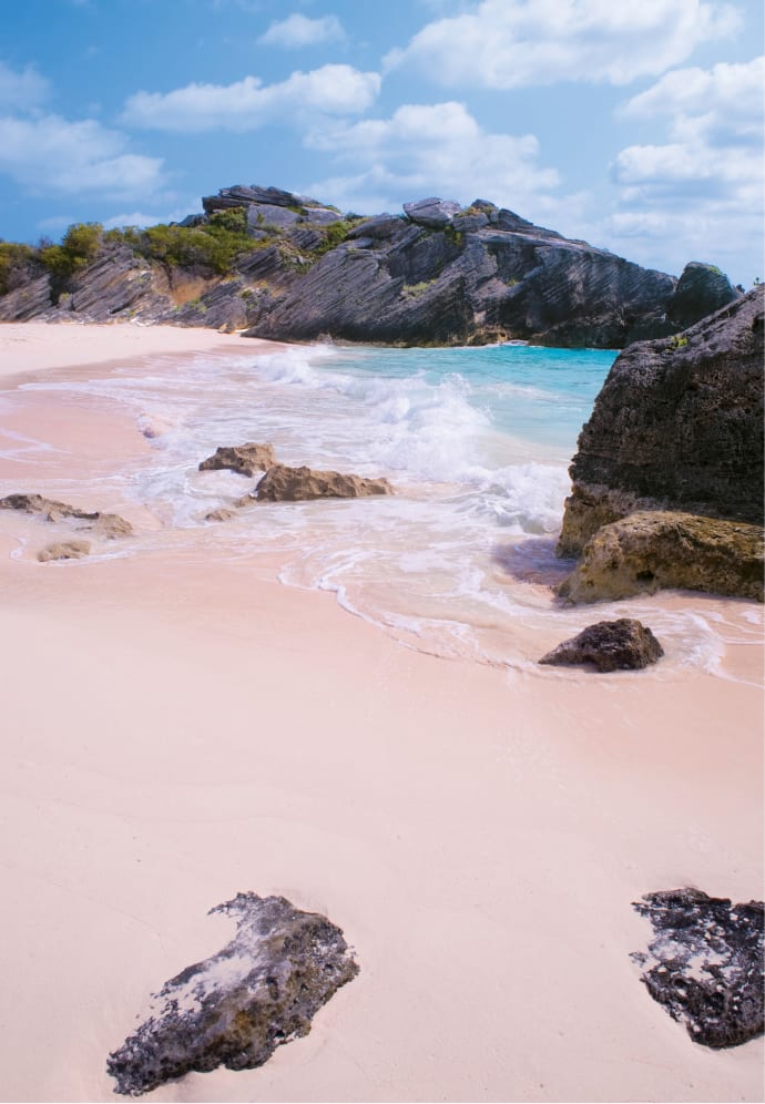 Transatlantic Cruises 2025 & 2026 - Cruise to Europe from US