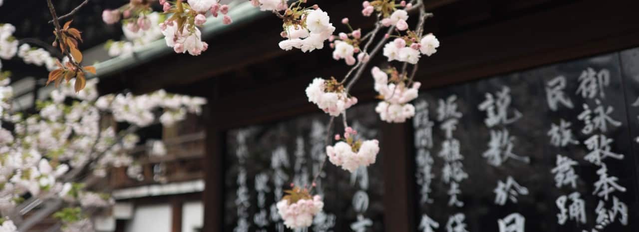 Cruises To Amami Ōshima (Naze), Japan Port | Asia Cruises