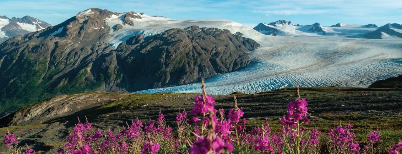 Cruises To Anchorage (Seward), Alaska