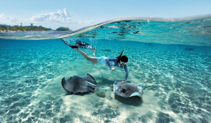Cruises To Ontsnap naar RelaxAway, Half Moon Cay™: je paradijselijke ...