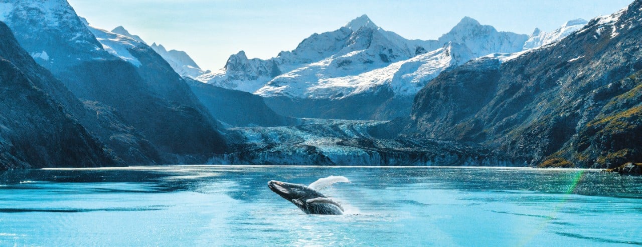 Cruises To Scenic cruising Stephens Passage