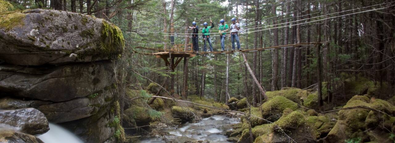 Grizzly Falls Zip-Line Expedition