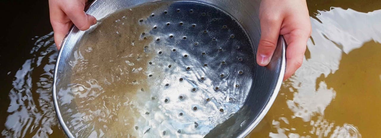 Klondike Gold Rush Top 5 Attractions | Holland America Line