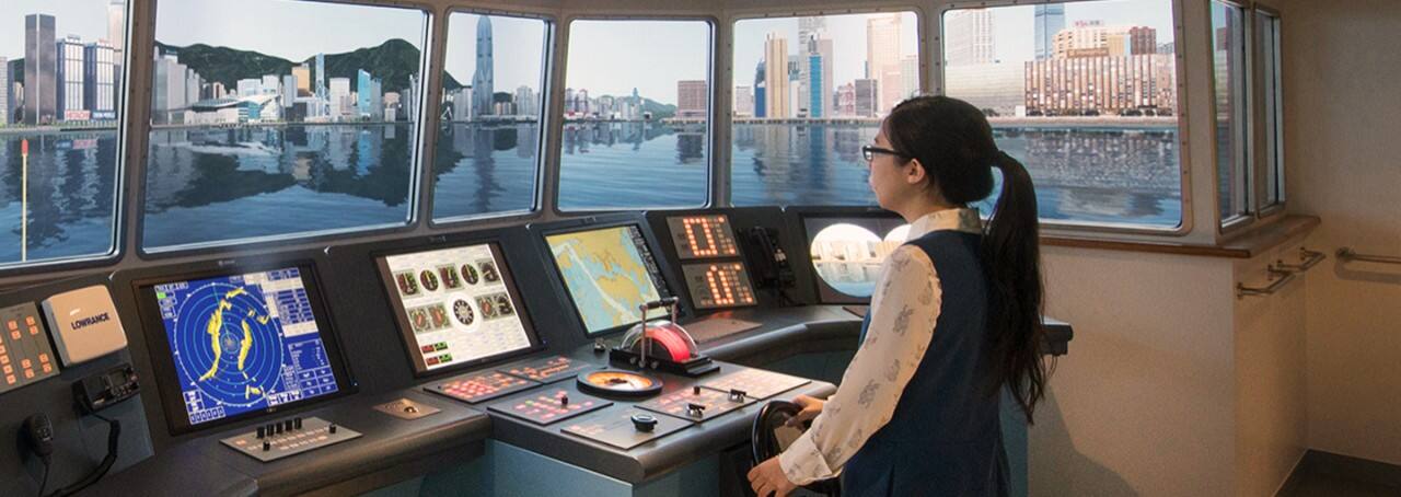 Hong Kong Private Touring - Full Day (Minivan) Cruise Tour