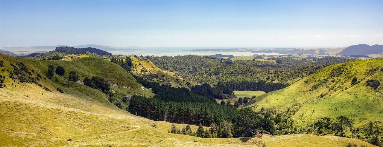 Cruises To Gisborne, New Zealand | Sunrise, Culture & Wine