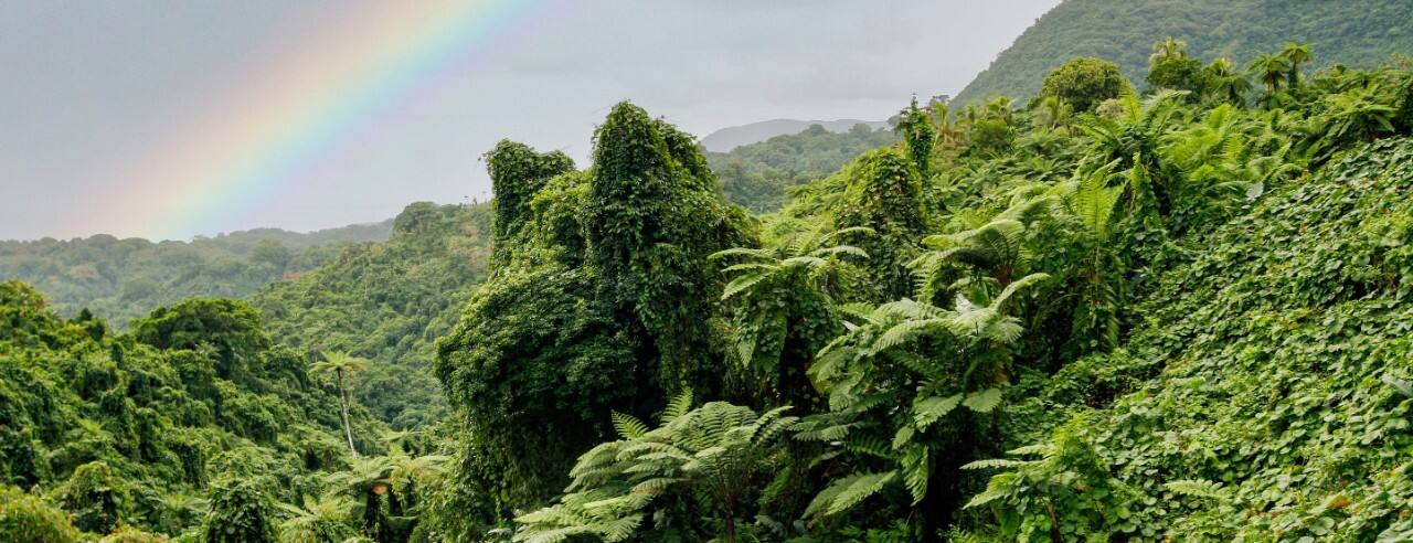 Cruises To Pentecost Island, Vanuatu