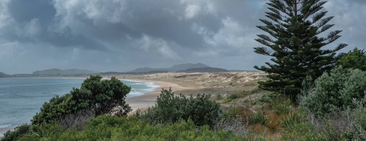 Cruises To Scenic Cruising: Remote Beauty of Henderson Island