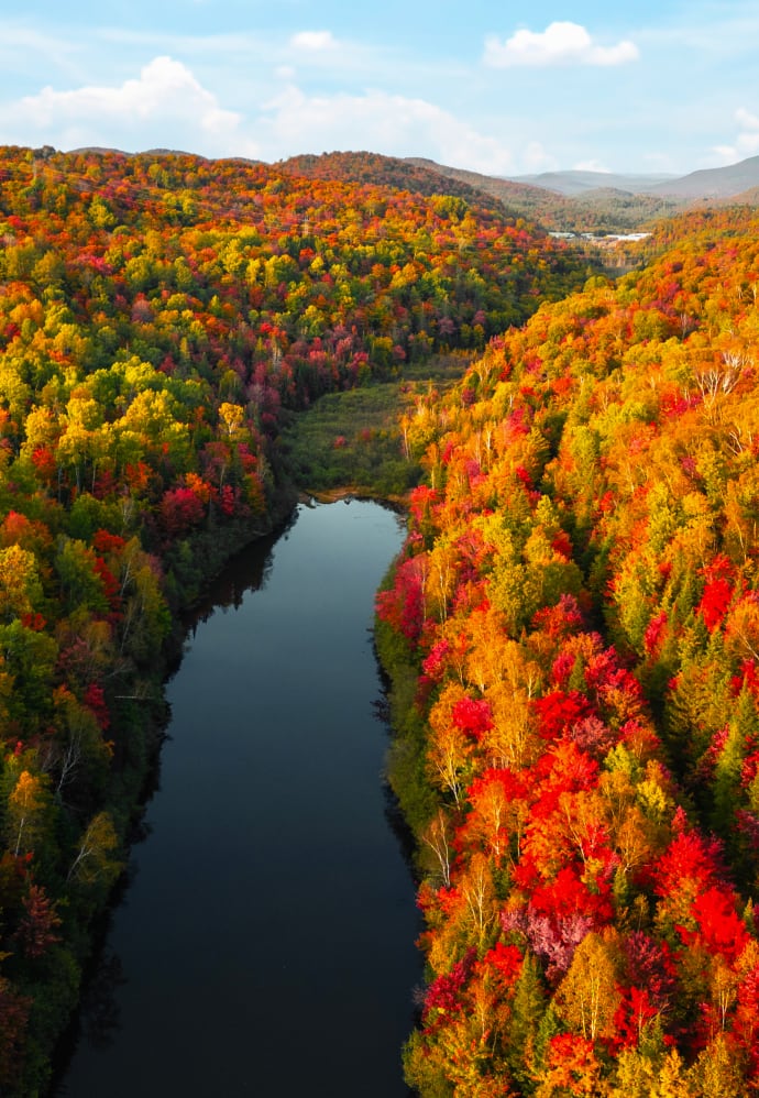Canada and New England Cruises 2026 and 2027