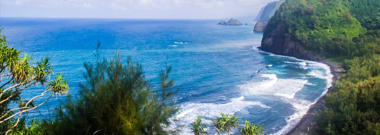 Waterfalls & Highlights of the Hamakua Coast Cruise Tour
