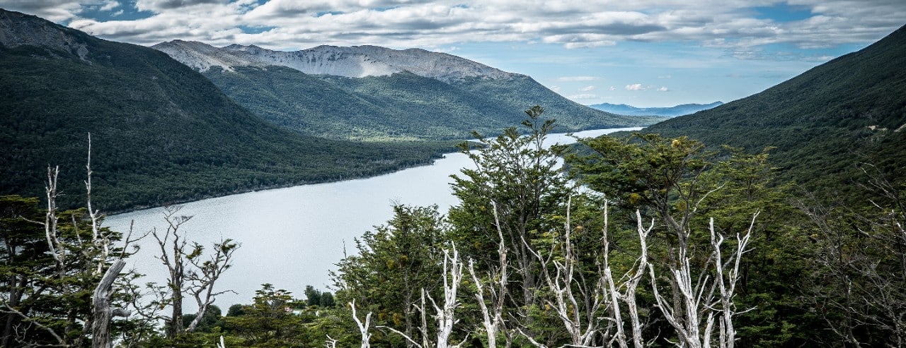 Cruises To Beagle Channel | Patagonian Passage & Southern Wilderness